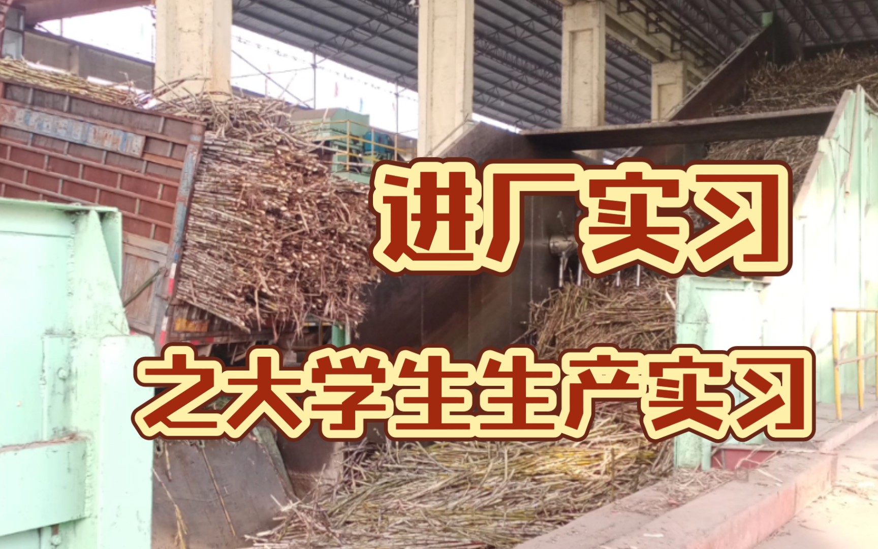 【生产实习】进糖厂实习的这几天