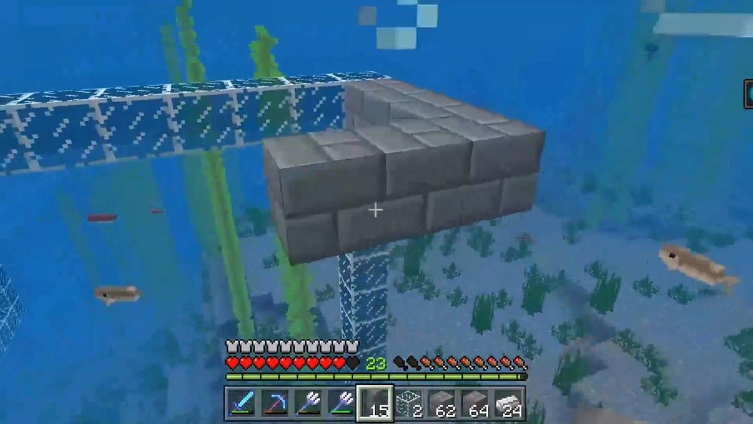 我的世界:这个海豚过来碰瓷?可爱也不能犯罪哟