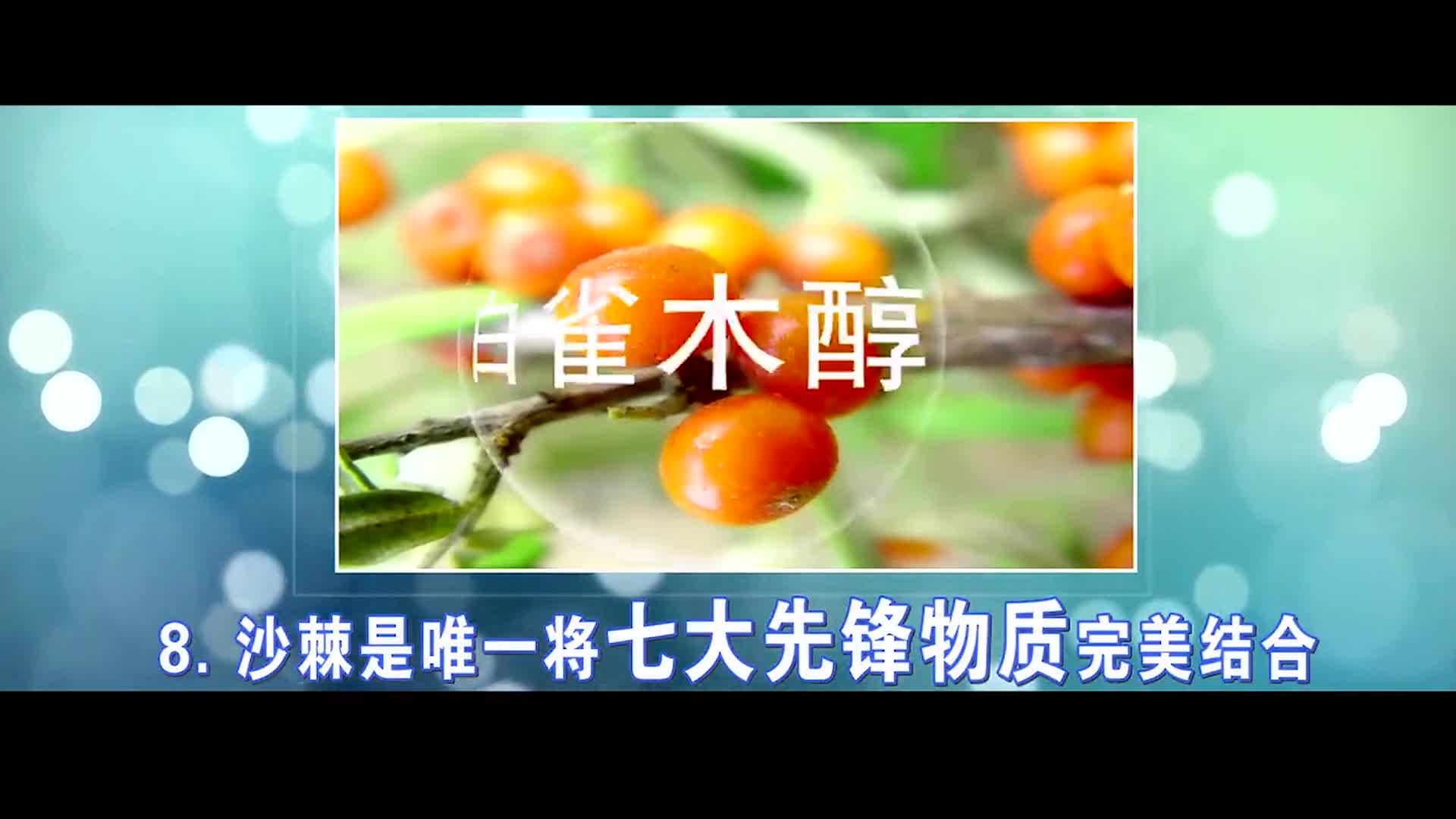 高山植物沙棘功效