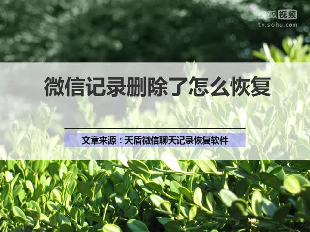 微信记录删除了怎么恢复-天盾微信聊天记录恢复软件