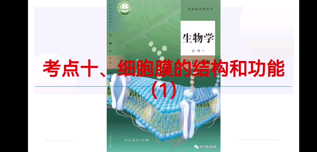 高中生物必修一考点讲解(十)细胞膜的结构和功能(第1课时),持续更新中...