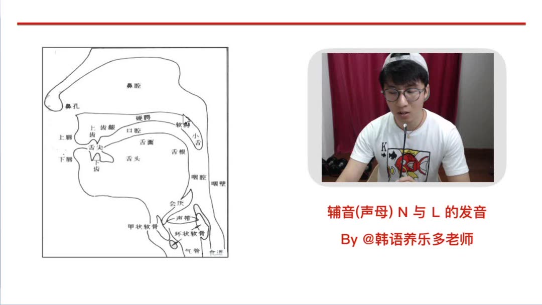 发音教学】拼音N和L的区分-声母(辅音)发音讲解