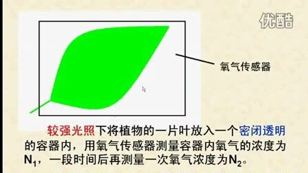 汉水丑生 必修一 光合作用 (三) 教学视频 标清.flv