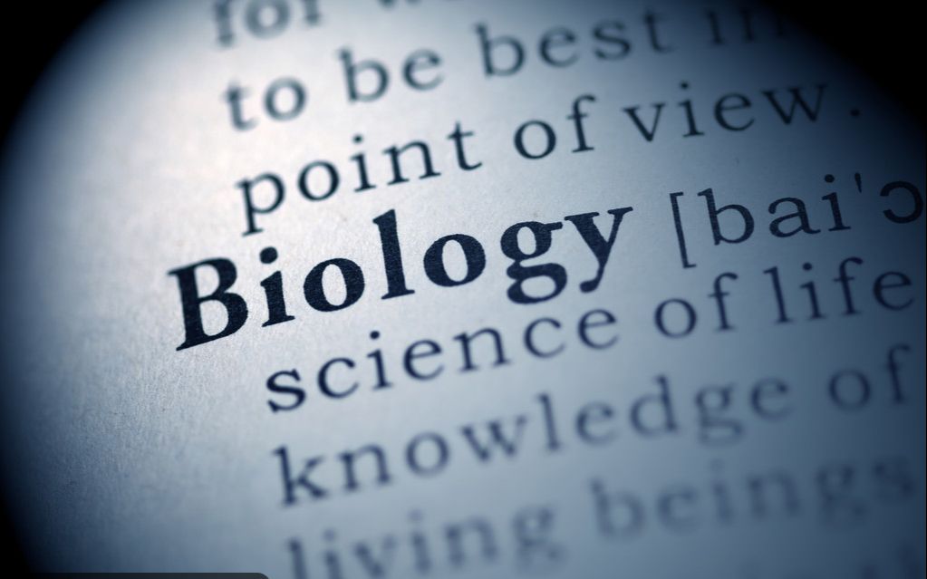 【生物】遗传信息的翻译转录