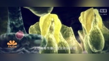 流感病毒传播过程及致病原理动画展示三维动画医学动画制作公司...