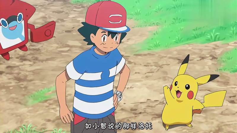 精灵宝可梦:这不科学,木木枭居然没在睡觉,它的对手是?