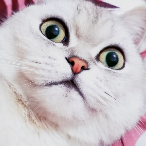 其心_ 