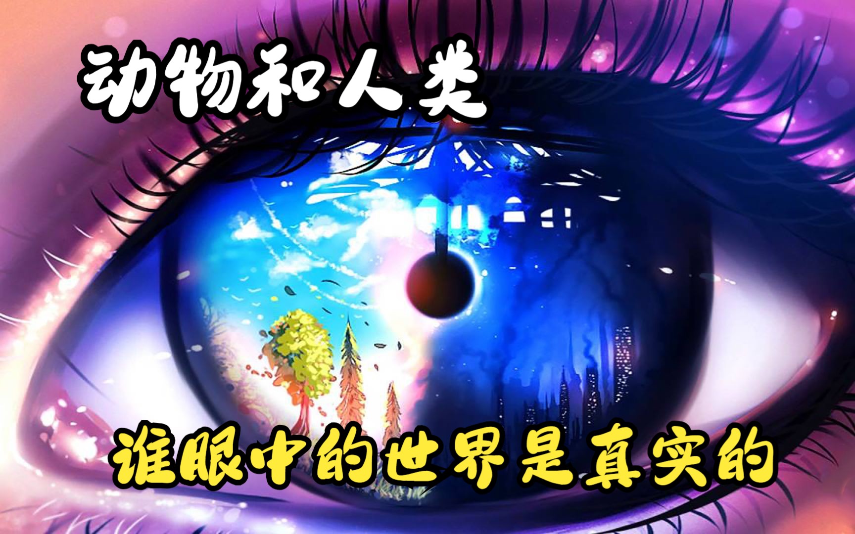 动物和人类,谁眼中的世界是真实的呢