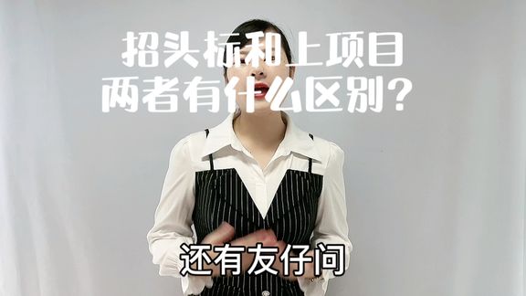 招投标和上项目两者有什么区别