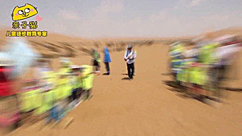 亲子猫徒步沙漠研学旅行