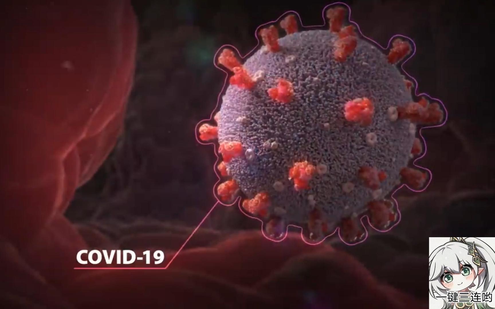 新型冠状病毒是这样感染我们的