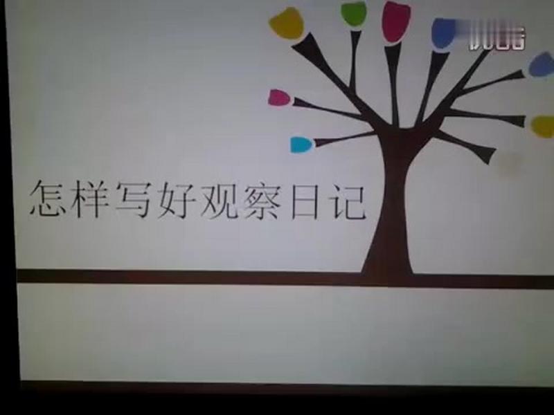 观察日记的写法