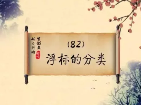 《从0开始学钓鱼》82-浮标的分类