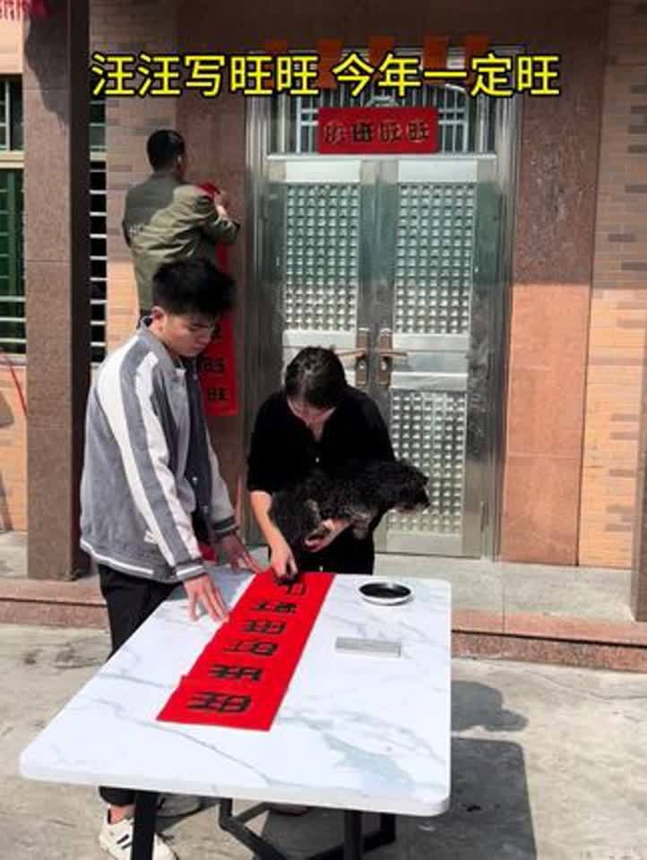 毛笔被狗咬坏了 于是我就拥有了一只狗尾巴笔#人类迷惑行为 #今年...