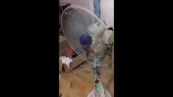 电风扇快要变身吗,变形金刚,这样是不是不安全漏点么,还是小心