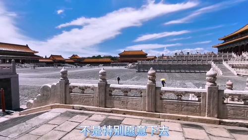 宫猫西西子代言故宫宣传大片,却没人给它结算代言费,好气哦。