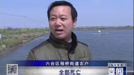 [直播南京]现代农业:让农业发展生态化、可持续