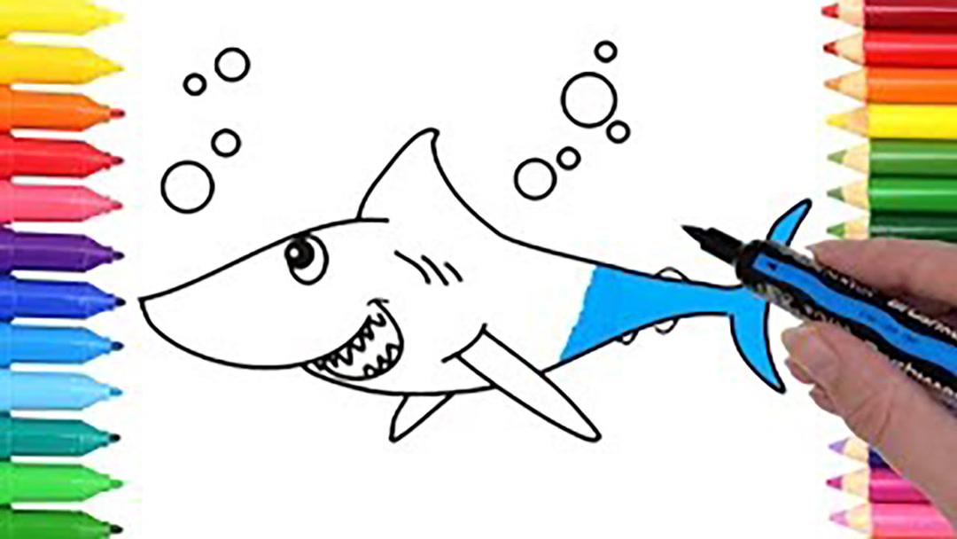 绘画小教学:简单的例子如何画鲨鱼!