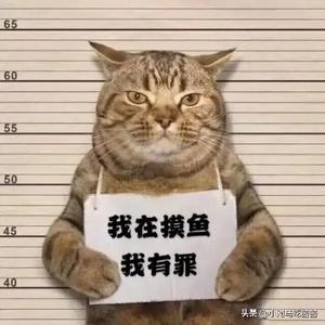 逍不遥的年轻人 
