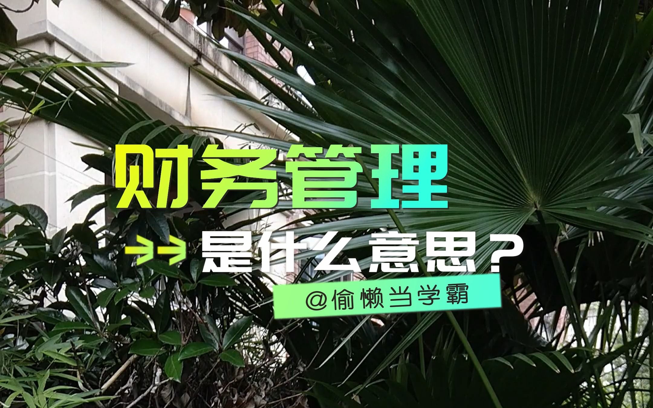 财务管理是什么意思?