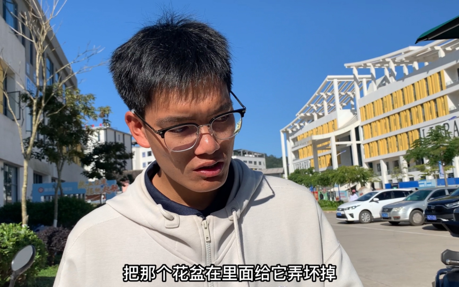 这是一颗有自己想法的咖啡树。