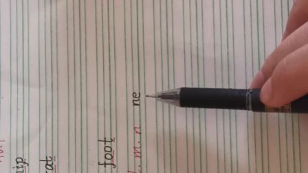 foot-lap的单词讲解