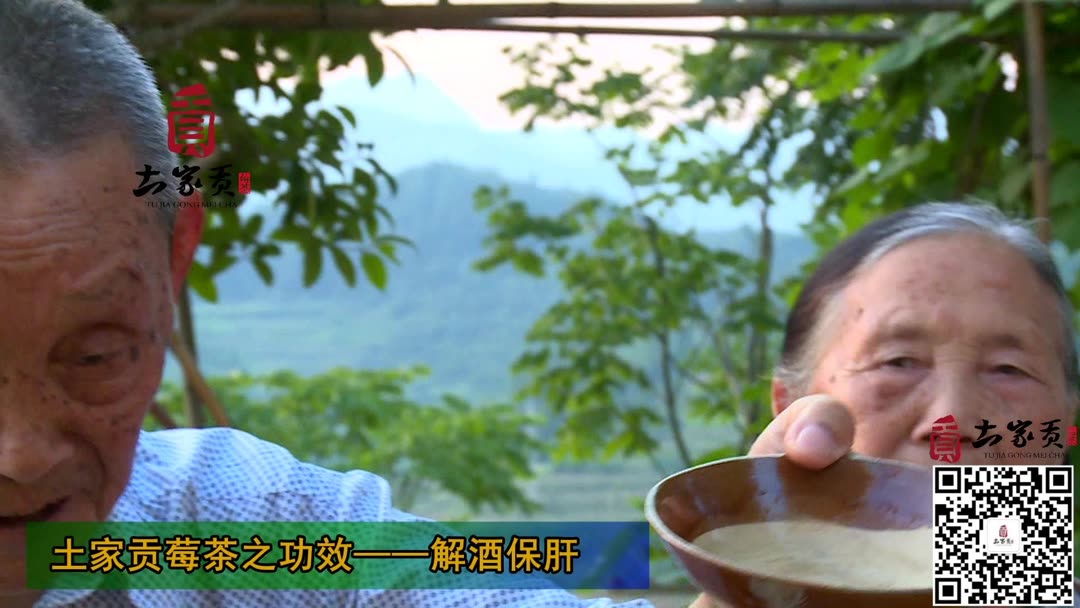 土家贡莓茶功效:解酒 保肝