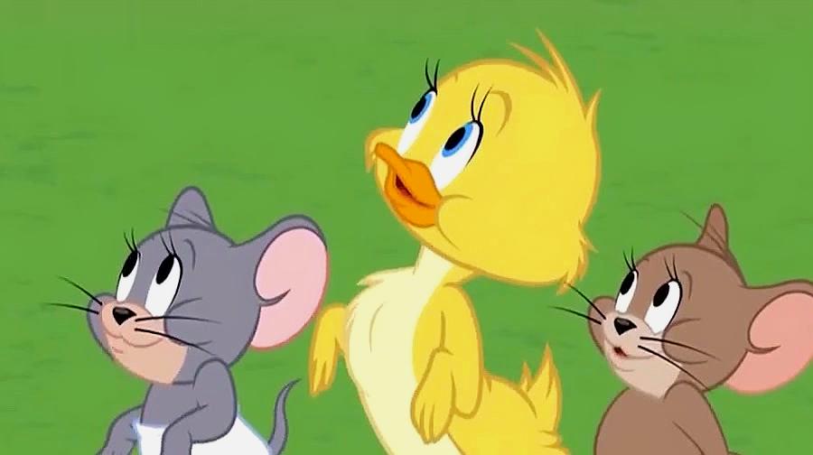 汤姆和杰瑞的日常生活里居然有这么多物理知识这段太搞笑了