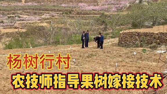 杨树行东山农技推广员,指导果树栽培种植技术,让农民增产增收。