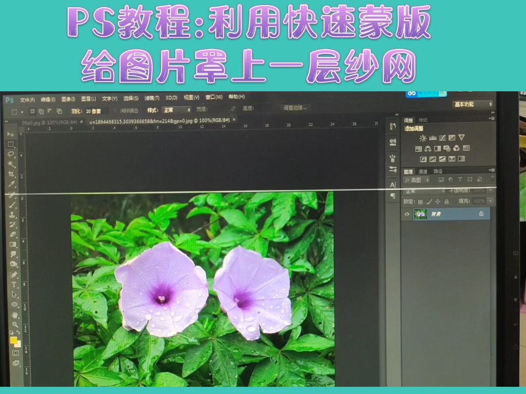 PS教程:利用快速蒙版给图片罩上一层纱网