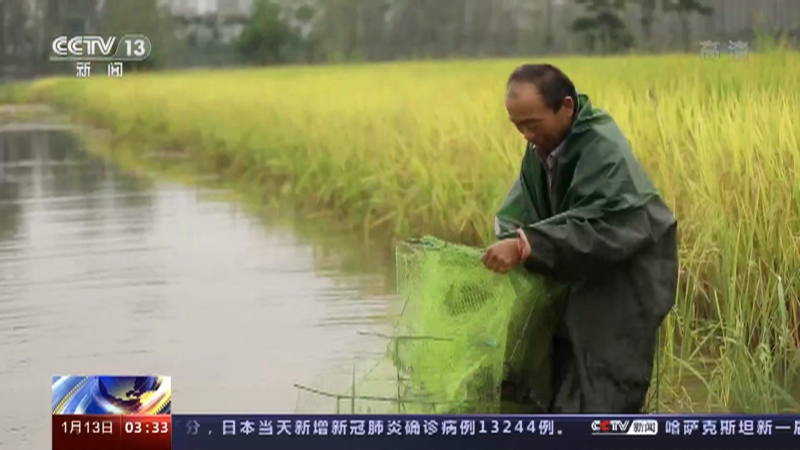 [新闻直播间]2020年 全国农业及相关产业增加值占比16.47%