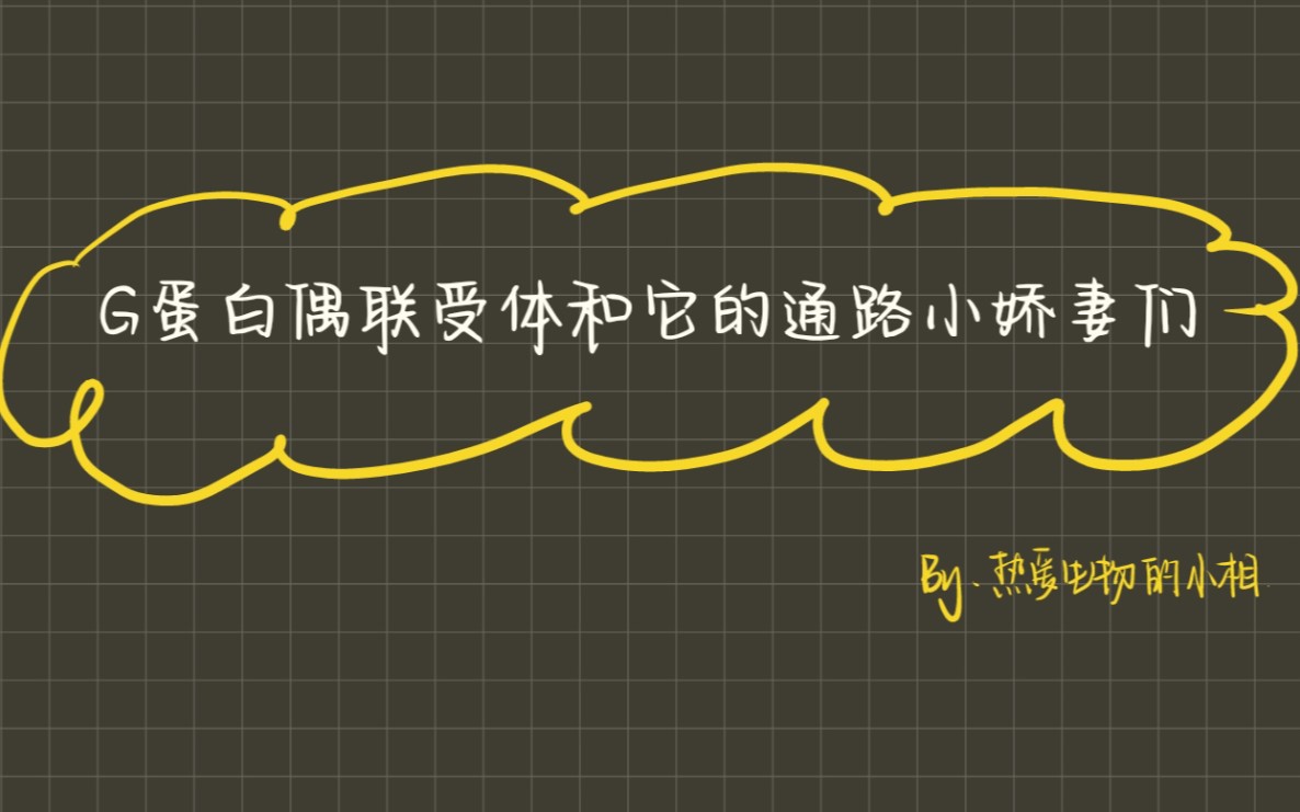 G蛋白偶联受体和它的小娇妻通路们～细胞信号转导,第二信使,G蛋白偶...