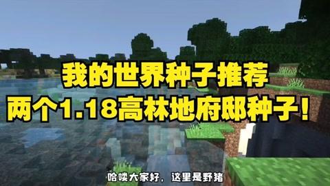 我的世界种子推荐~两个1.18高林地府邸种子!