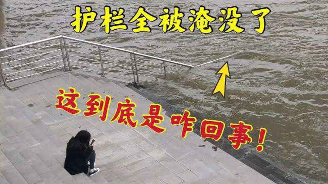 长江大桥中有一列动车从“蛇龟山”穿过,这是咋回事,太出人意料