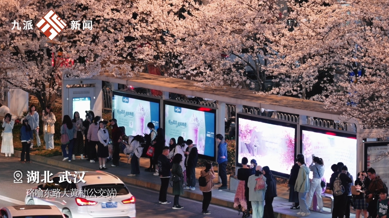 武汉最美樱花车站,女大学生带10多套衣服来樱花车站拍照