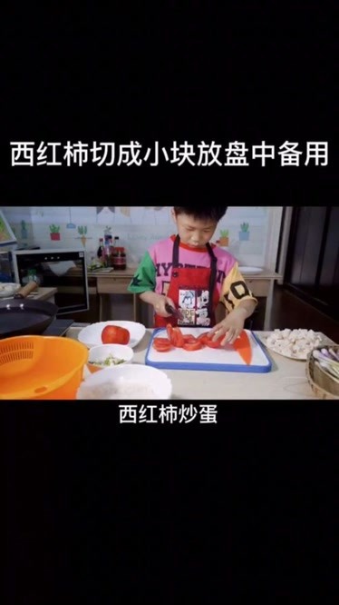 张宝宝美食第二季,世界那么大,大不过一盘西红柿炒鸡蛋,你学会了吗?