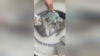 翡翠原石去皮过程
