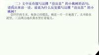 一棵小桃树(第二课时)