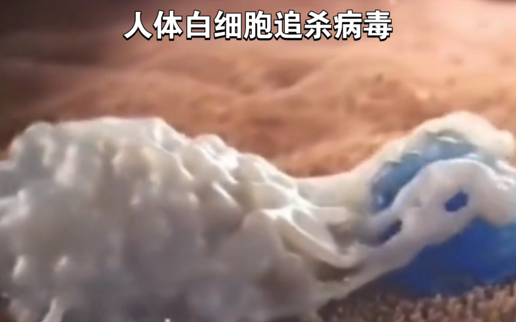 你阳过了吗?你不是一个人在战斗,把白细胞大军拉出来干掉病毒!