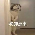 不愿透露性别的袁先生 