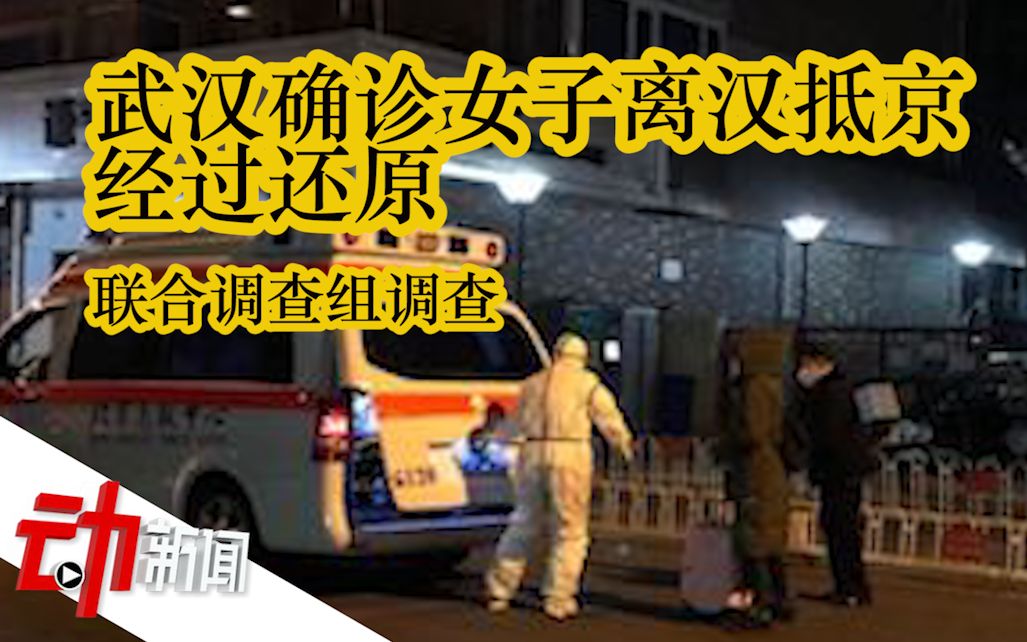 联合调查!动画还原武汉新冠肺炎感染女子离汉抵京经过
