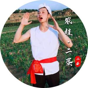 农娃二蛋 