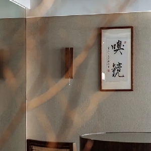 XIU-J嗅镜 