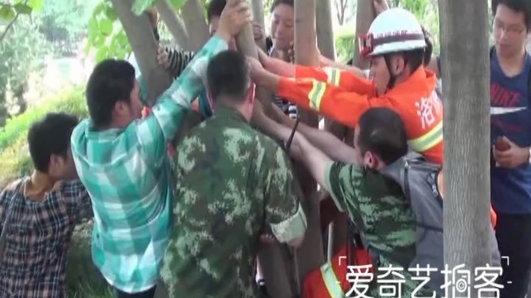 拍客 男孩双腿被卡树杈间消防队员2分钟救出