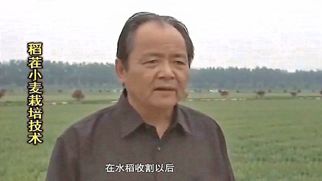 在水稻收割之后,若距离小麦播种时间长,可采用旋耕还田处置秸秆