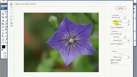 PhotoShopCS4完全自学视频教程-40抽出滤镜的使用