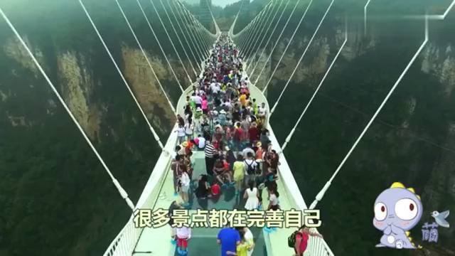 质疑中国张家界玻璃桥,老外一锤子下去,网友:尴尬了