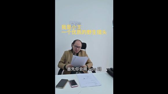 office和wps有区别吗?
