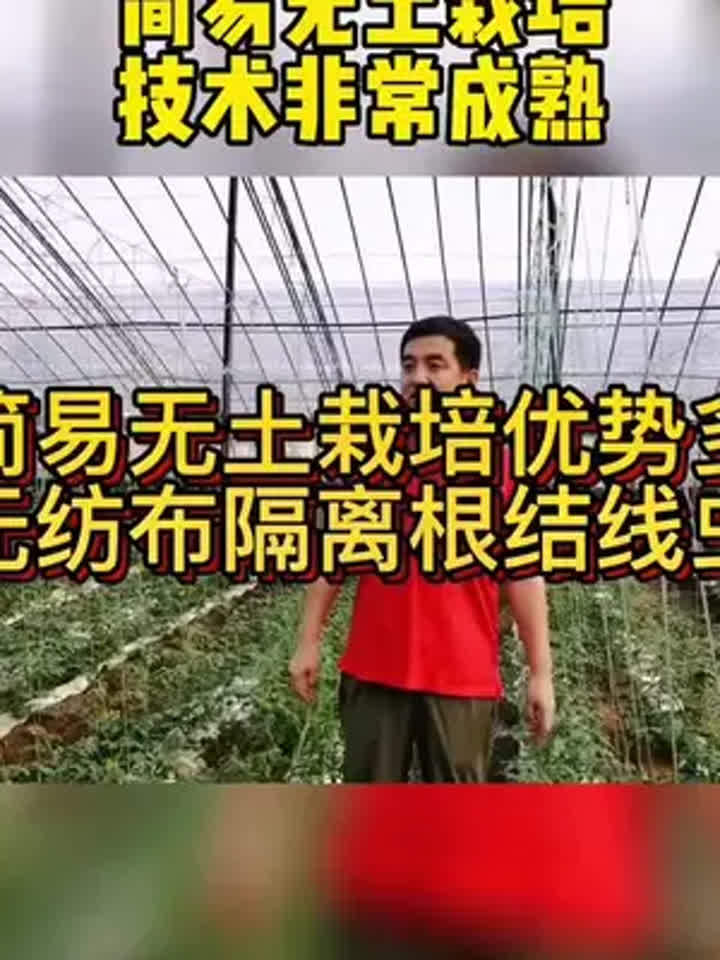 建议无土栽培技术非常成熟#王友福 #蔬菜种植 #农业种植 #三农 #无土...
