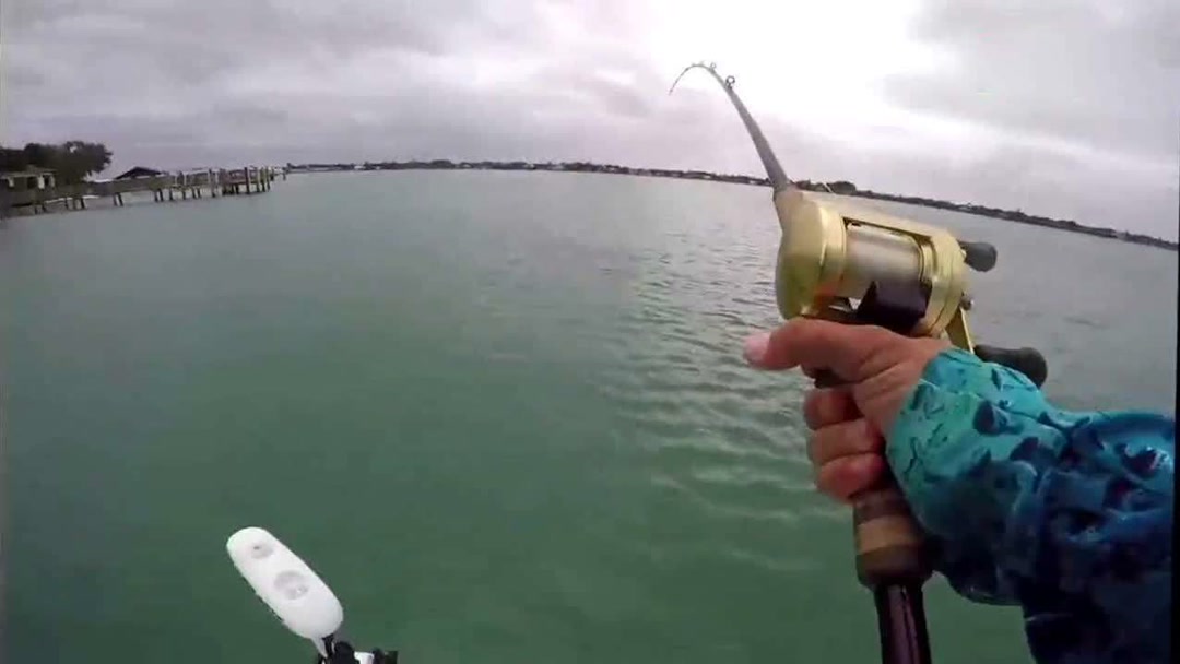 钓鱼狂魔脑洞大开加上一根荧光棒,结果还真的上钩这么个大家伙